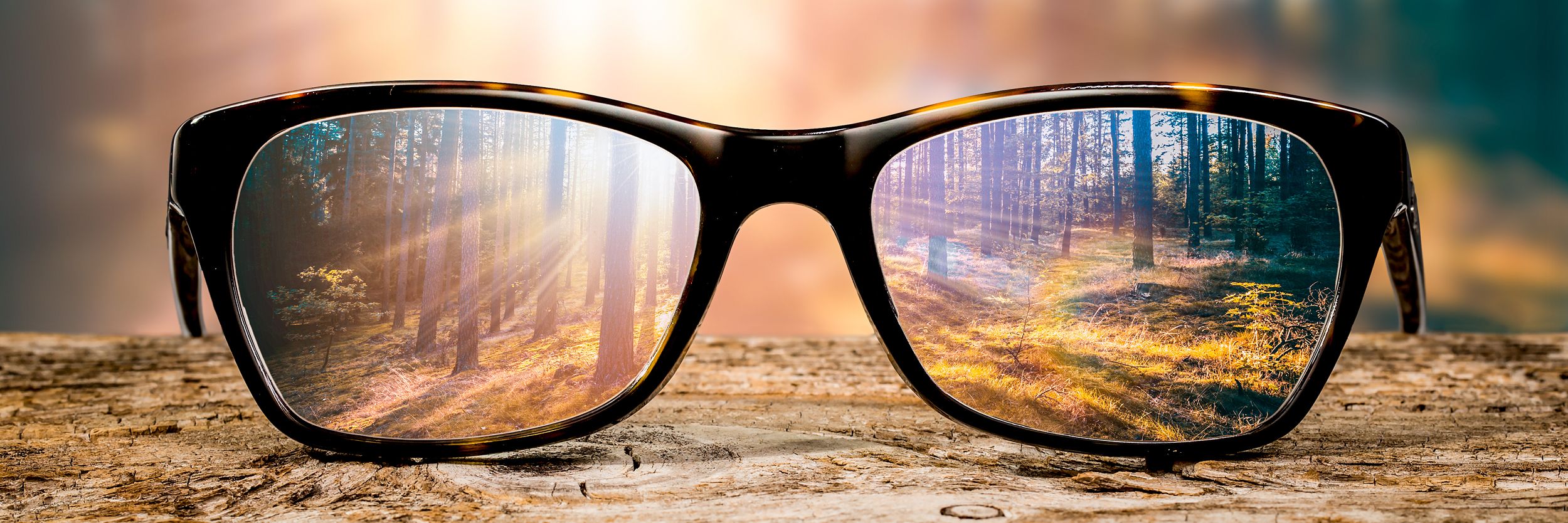 Different lens types, something for everyone | Spectacle Warehouse